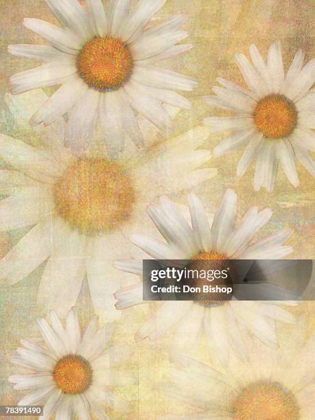 Fragile Earth Art Photos And Premium High Res Pictures Getty Images