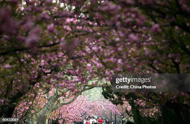 Xian Jiaotong University Photos and Premium High Res Pictures - Getty ... Xian Jiaotong University Photos and Premium High Res Pictures - Getty ...