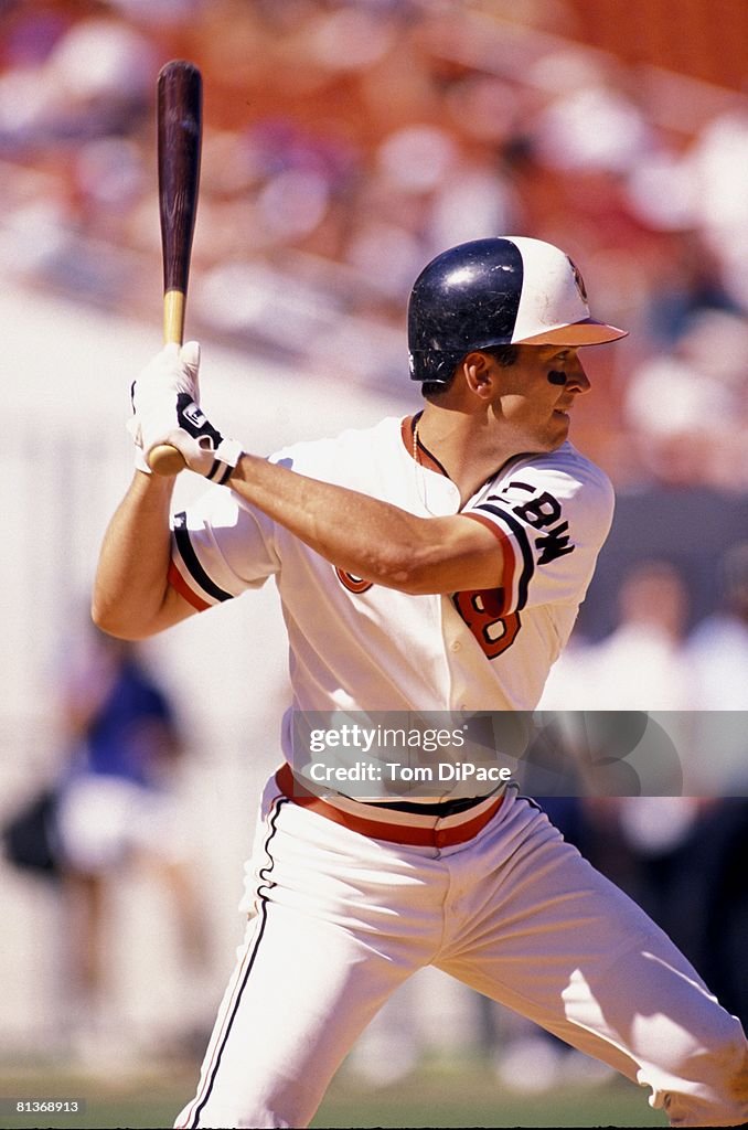 Baltimore Orioles Cal Ripken Jr, in action, at bat during game,... News ... Baltimore Orioles Cal Ripken Jr, in action, at bat during game,... News ...