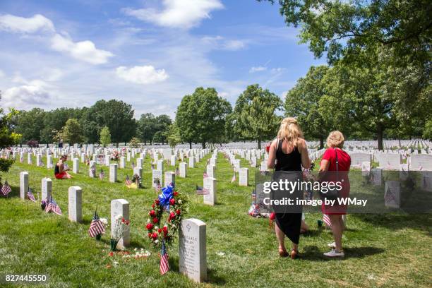 71 Fallen Soldiers Honored On Memorial Day At Arlington National