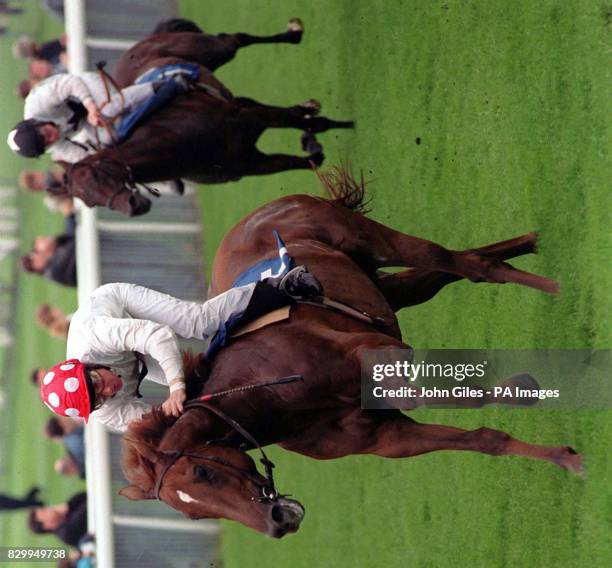 11 Tony Mcglone Stock Photos, High-Res Pictures, and Images - Getty Images 11 Tony Mcglone Stock Photos, High-Res Pictures, and Images - Getty Images