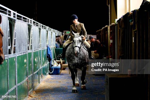 70 Failte Ireland Dublin Horse Show Photos & High Res Pictures - Getty ... 70 Failte Ireland Dublin Horse Show Photos & High Res Pictures - Getty ...