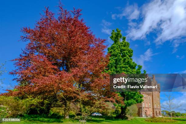 Brodick Castle Photos And Premium High Res Pictures Getty Images