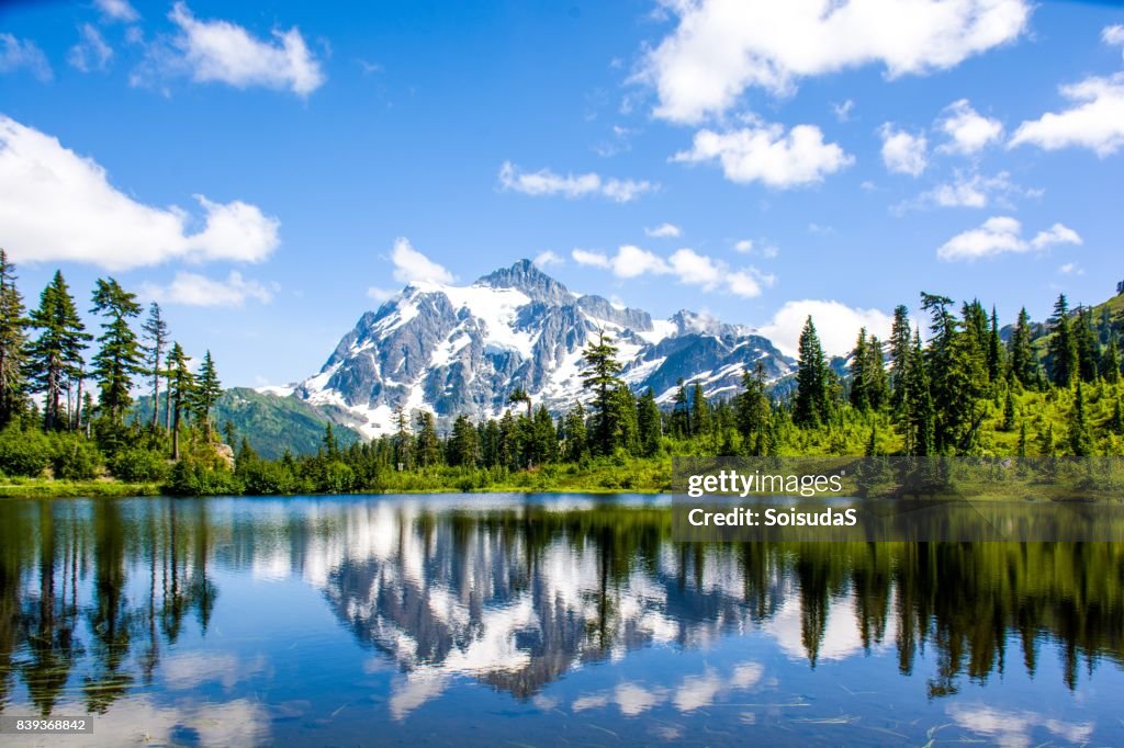 Mt Shuksan Reflected In Picture Lake At North Cascades National Park