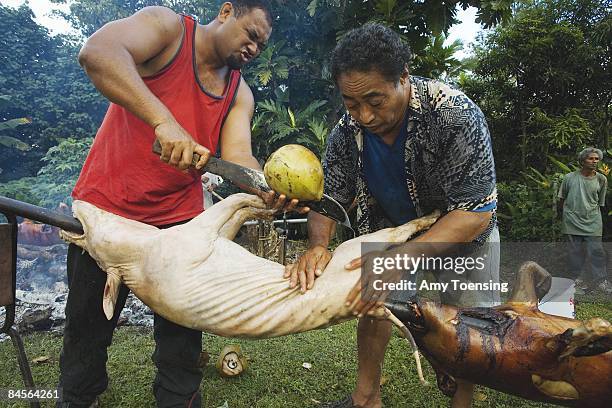 Nukunuku Photos And Premium High Res Pictures Getty Images