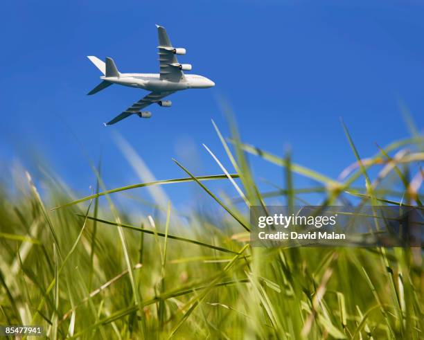 Plane Grass Photos And Premium High Res Pictures Getty Images