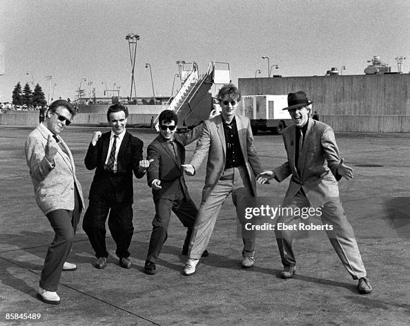 Photo of Chris DIFFORD and SQUEEZE and Glenn TILBROOK and John... News ... Photo of Chris DIFFORD and SQUEEZE and Glenn TILBROOK and John... News ...