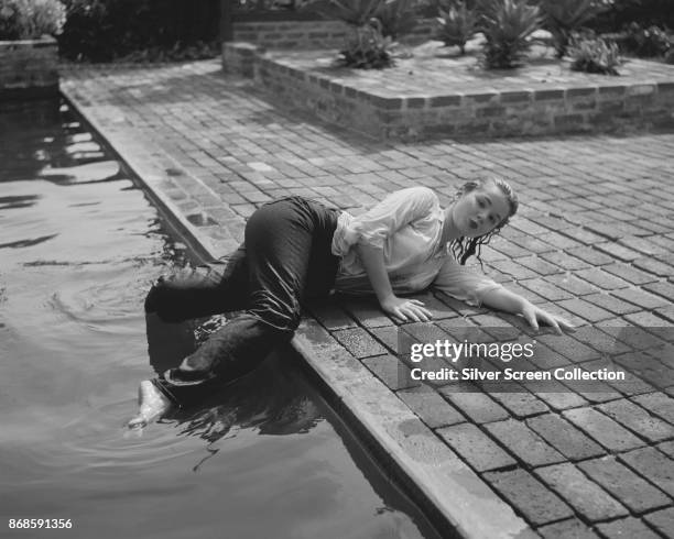 Fully Clothed Pool Bildbanksfoton Och Bilder Getty Images