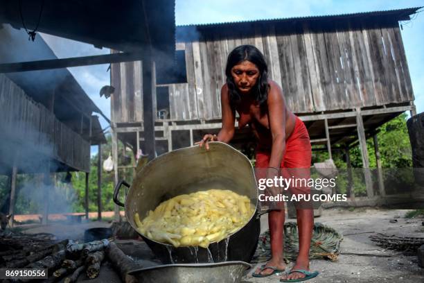 71 Waiapi Tribe Photos And High Res Pictures Getty Images