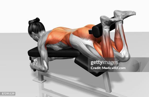 How To Do Leg Curls Techniques Benefits Variations Atelier Yuwa