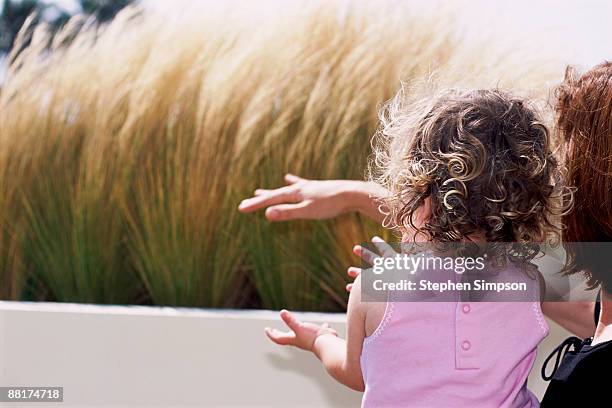 474 Stephen Tall Stock Photos, High-Res Pictures, and Images - Getty Images 474 Stephen Tall Stock Photos, High-Res Pictures, and Images - Getty Images