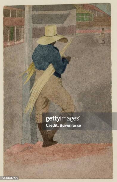 Stripping Cane Photos And Premium High Res Pictures Getty Images