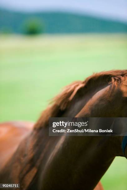Milena Brown Photos And Premium High Res Pictures Getty Images
