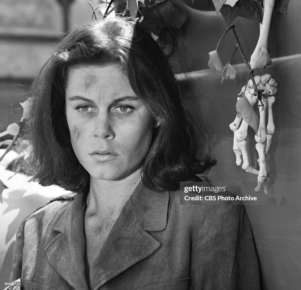 American Actress Elizabeth Montgomery In An Episode Of The Television News Photo Getty Images