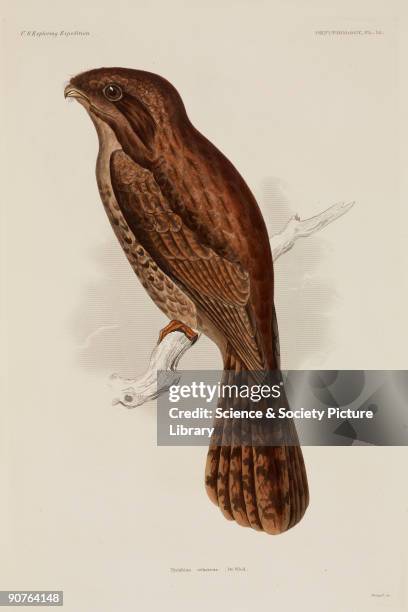 John Cassin Photos And Premium High Res Pictures Getty Images