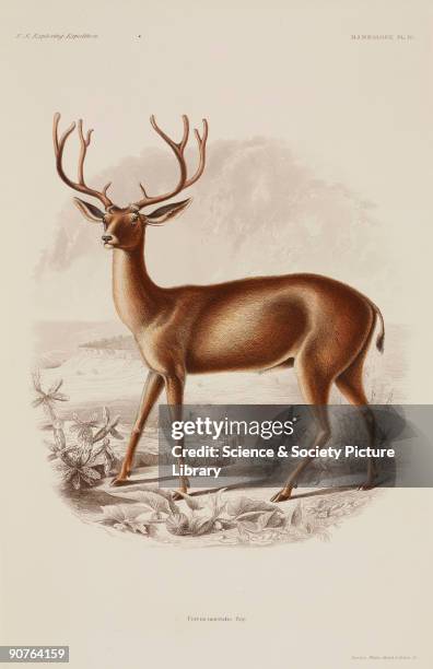 John Cassin Photos And Premium High Res Pictures Getty Images