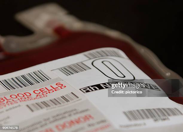 277 Red Cross Lab Stock Photos, High-Res Pictures, and Images - Getty ... 277 Red Cross Lab Stock Photos, High-Res Pictures, and Images - Getty ...