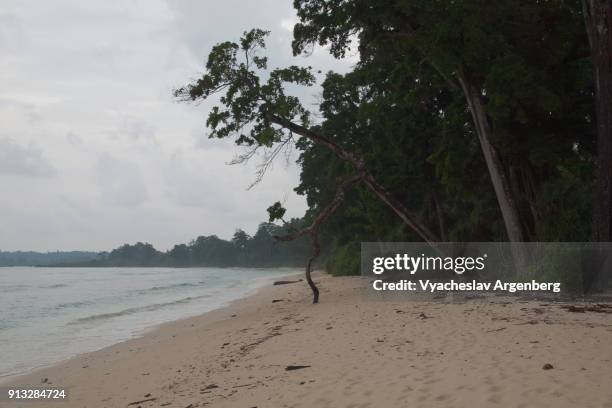 South Andaman District Photos and Premium High Res Pictures - Getty Images South Andaman District Photos and Premium High Res Pictures - Getty Images