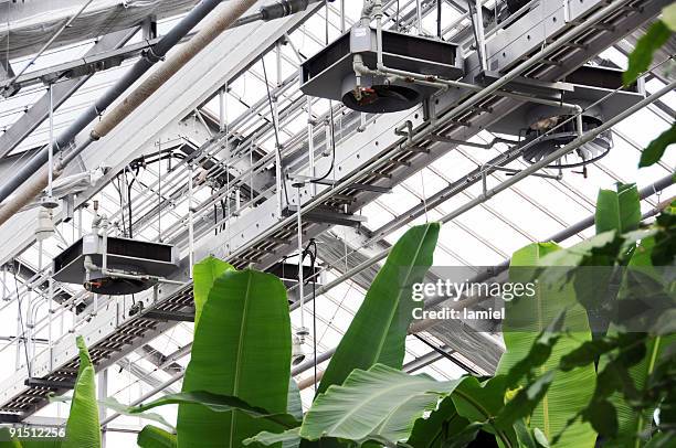 Innovative Greenhouse Solutions for Tropical Climates