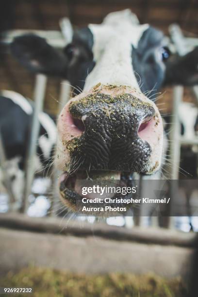 239 Fraser Valley Regional District British Columbia Stock Photos, High ... 239 Fraser Valley Regional District British Columbia Stock Photos, High ...