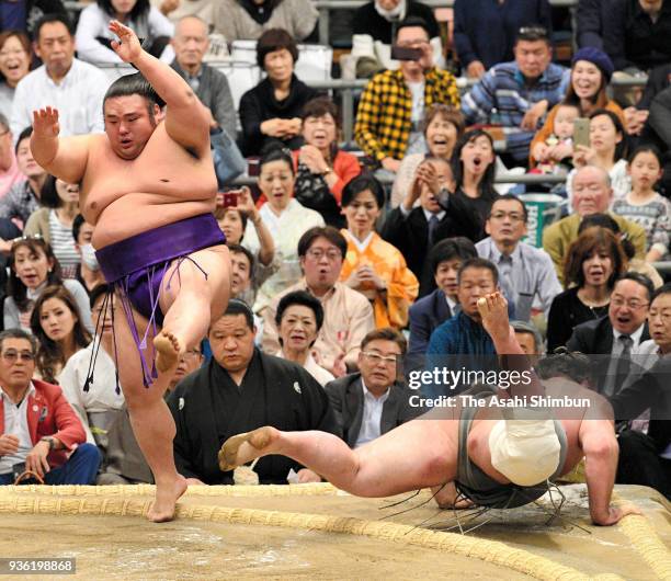 Grand Sumo Spring Tournament Day 14 Photos And Premium High Res Pictures Getty Images