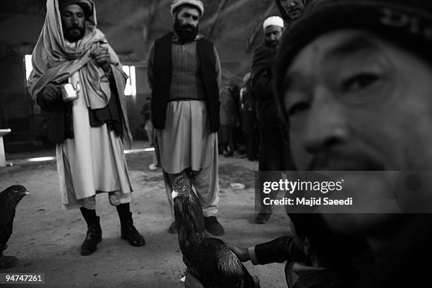 Cock Fighting In Kabul Afghanistan Fotografías E Imágenes De Stock