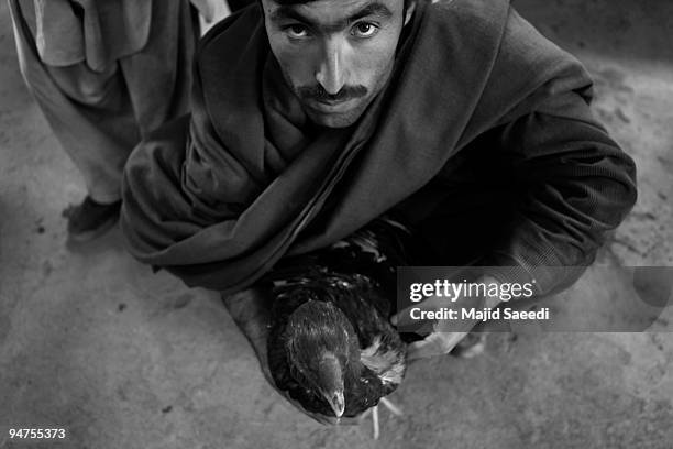 Cock Fighting In Kabul Afghanistan Fotografías E Imágenes De Stock
