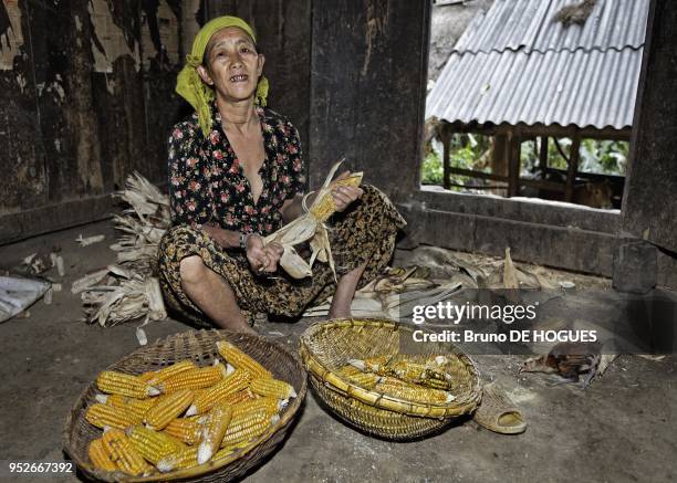 683 Hmong House Stock Photos, High-Res Pictures, and Images - Getty Images 683 Hmong House Stock Photos, High-Res Pictures, and Images - Getty Images