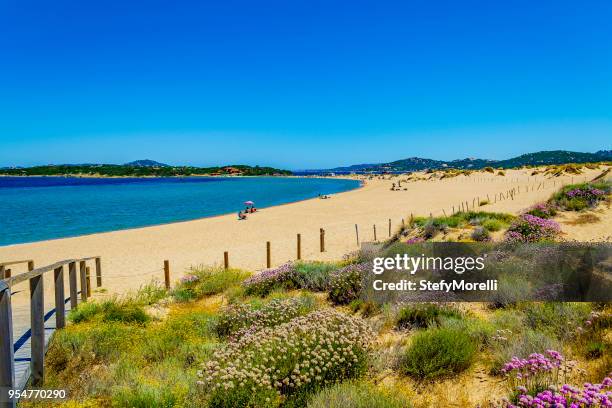 0+ Portopollo Images, Pictures JPG HD Free Photos