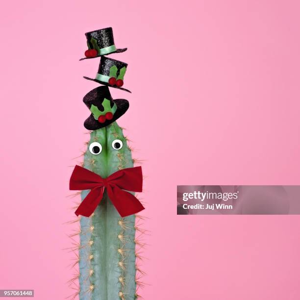 Pink Top Hat Photos And Premium High Res Pictures Getty Images