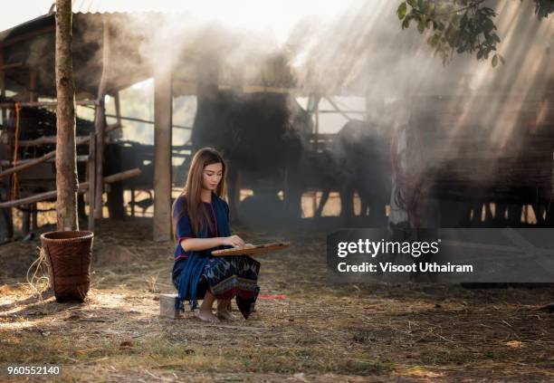 Hmong House Photos and Premium High Res Pictures - Getty Images Hmong House Photos and Premium High Res Pictures - Getty Images