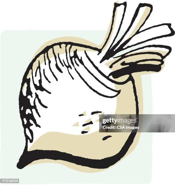 Turnip Harvest Photos And Premium High Res Pictures Getty Images