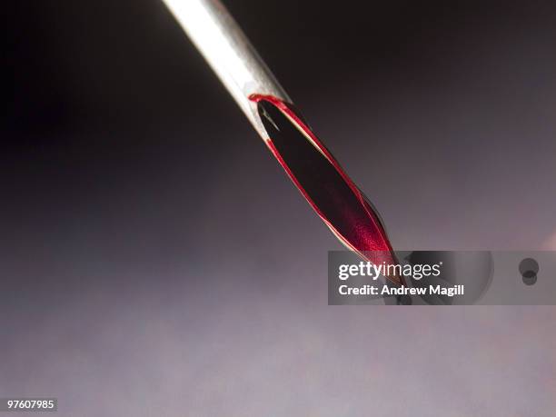 23 Needle Tip Macro Stock Photos, High-Res Pictures, and Images - Getty ... 23 Needle Tip Macro Stock Photos, High-Res Pictures, and Images - Getty ...