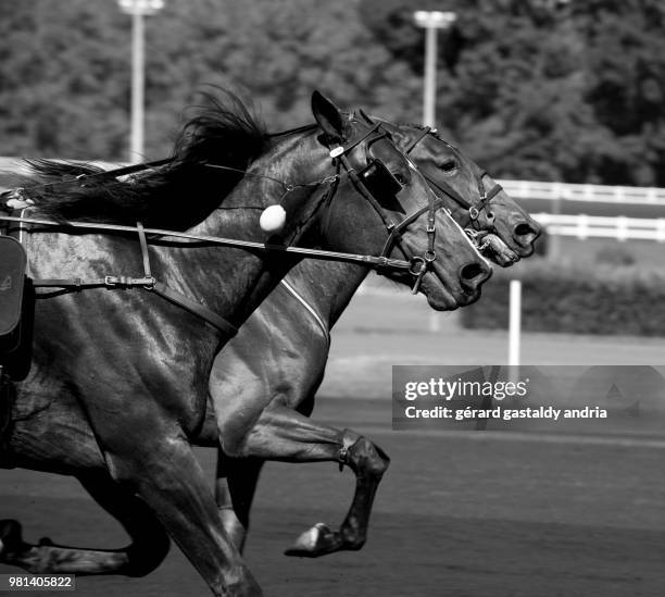 4,295 Andria Stock Photos, High-Res Pictures, and Images - Getty Images 4,295 Andria Stock Photos, High-Res Pictures, and Images - Getty Images