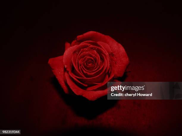 162 Kodak Digital Camera Stock Photos, High-Res Pictures, and Images ... 162 Kodak Digital Camera Stock Photos, High-Res Pictures, and Images ...