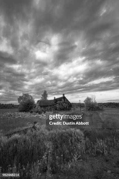 Black And White Sea Grass Photos And Premium High Res Pictures Getty Images