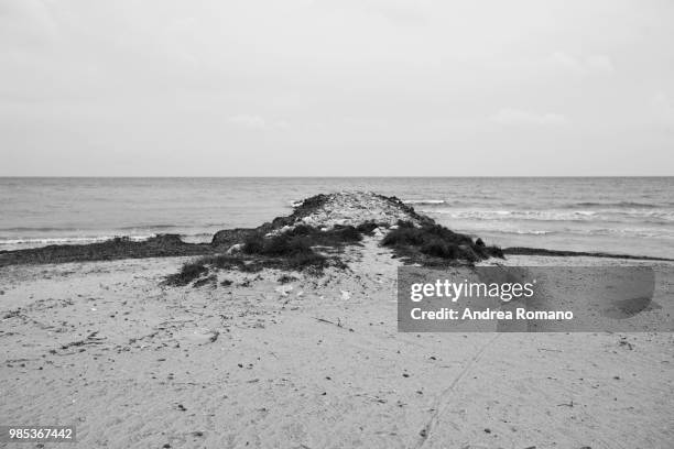 Andrew Romano Photos and Premium High Res Pictures - Getty Images Andrew Romano Photos and Premium High Res Pictures - Getty Images