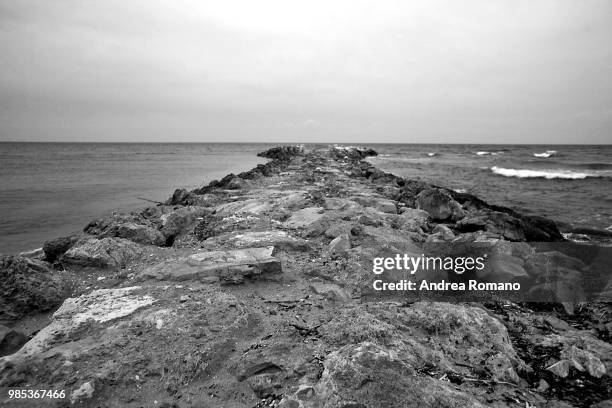 Andrew Romano Photos and Premium High Res Pictures - Getty Images Andrew Romano Photos and Premium High Res Pictures - Getty Images