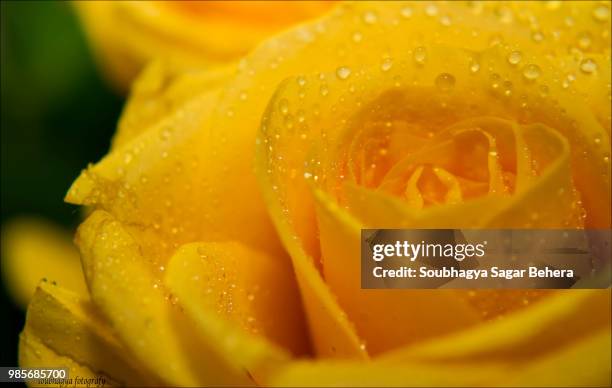 Loni India Photos And Premium High Res Pictures Getty Images