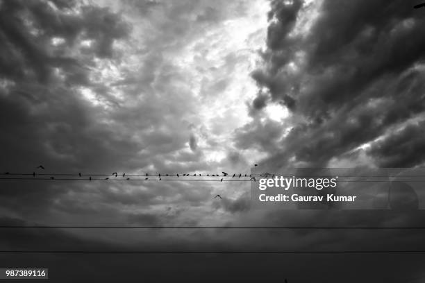 208 Gaurav Kumar Stock Photos, High-Res Pictures, and Images - Getty Images 208 Gaurav Kumar Stock Photos, High-Res Pictures, and Images - Getty Images