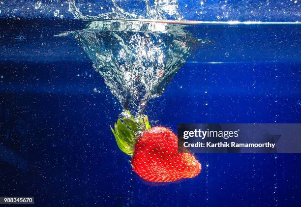 See Through Shutter Photos And Premium High Res Pictures Getty Images
