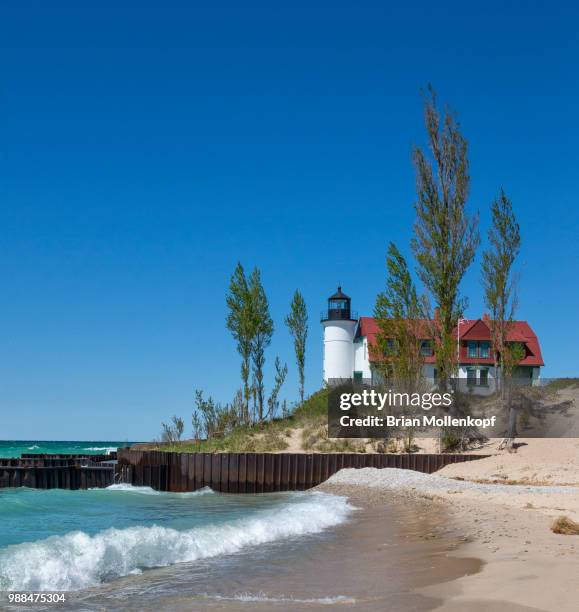 6,027 Betsie Stock Photos, High-Res Pictures, and Images - Getty Images 6,027 Betsie Stock Photos, High-Res Pictures, and Images - Getty Images