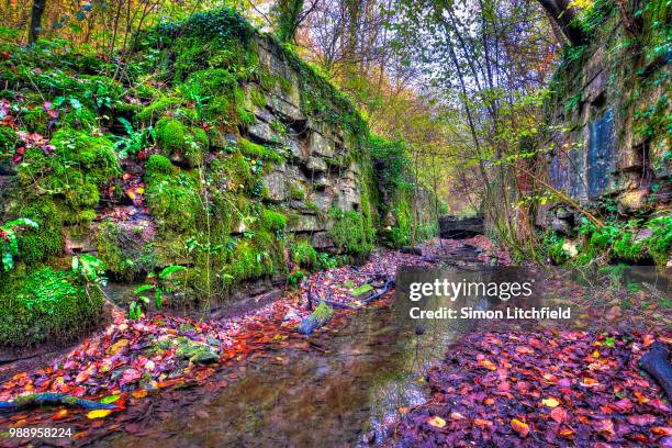 Thames And Severn Canal Photos And Premium High Res Pictures Getty Images