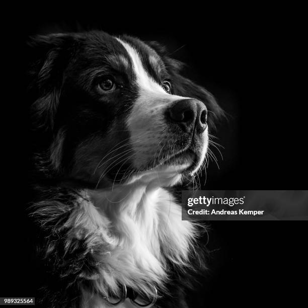 4,950 Sam Heads Stock Photos, High-Res Pictures, and Images - Getty Images 4,950 Sam Heads Stock Photos, High-Res Pictures, and Images - Getty Images