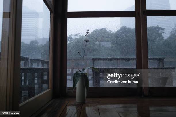 Ken Glass Photos And Premium High Res Pictures Getty Images