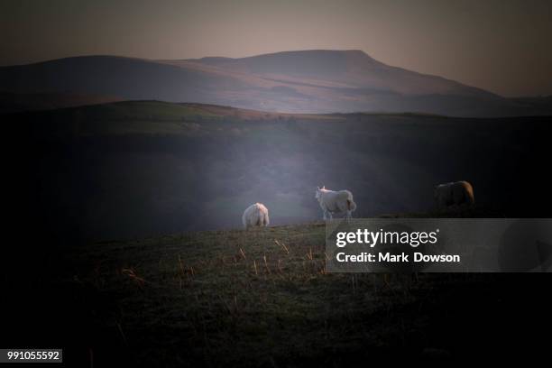 Brecon Beacons Lake Photos And Premium High Res Pictures Getty Images