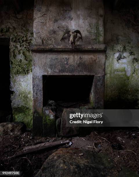 Spooky Cave Background Photos and Premium High Res Pictures - Getty Images Spooky Cave Background Photos and Premium High Res Pictures - Getty Images