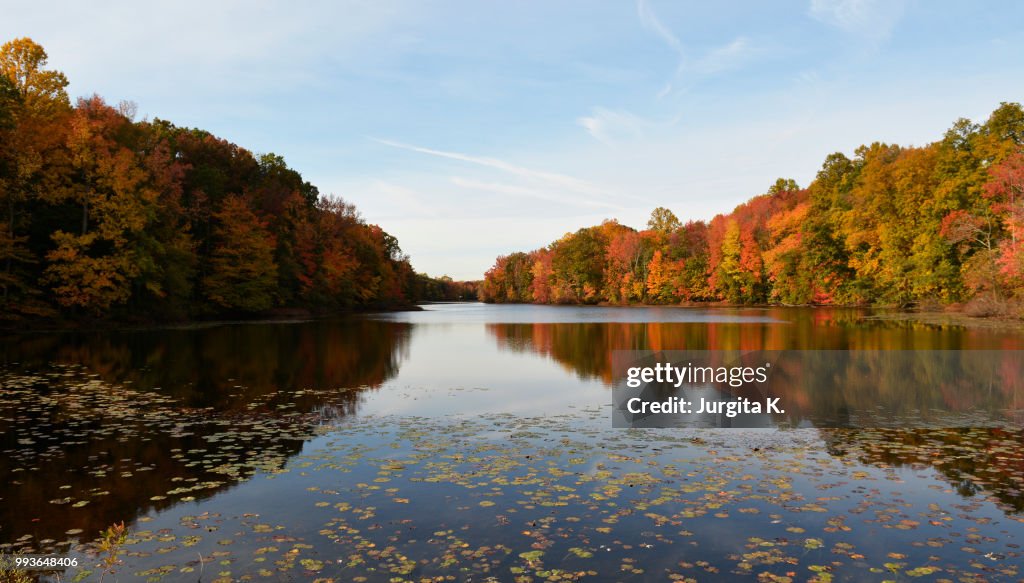 Davidson Mill Pond Park High-Res Stock Photo - Getty Images Davidson Mill Pond Park High-Res Stock Photo - Getty Images