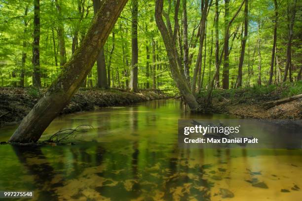 757 Max Creek Stock Photos, High-Res Pictures, and Images - Getty Images 757 Max Creek Stock Photos, High-Res Pictures, and Images - Getty Images