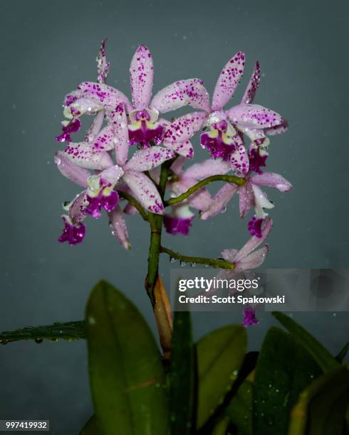 1,835 Rained Out Stock Photos, High-Res Pictures, and Images - Getty Images 1,835 Rained Out Stock Photos, High-Res Pictures, and Images - Getty Images
